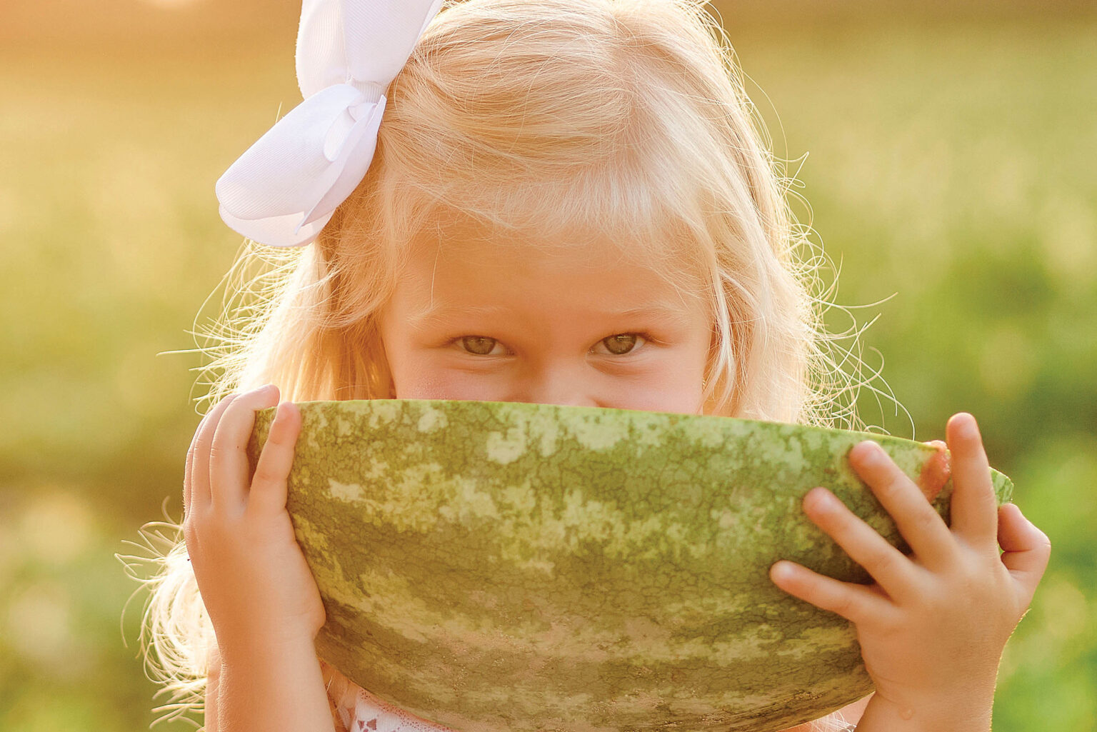 North Carolina Watermelon Farmers Are Growing Seedless Watermelons ...